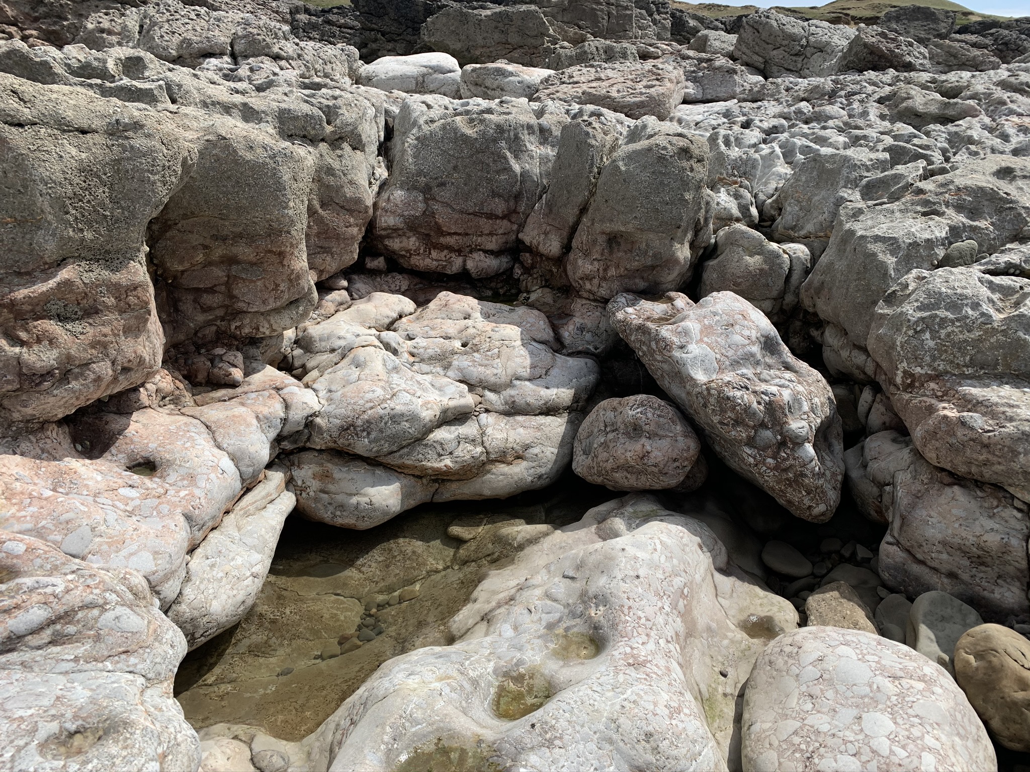 Dear Reader #50 – Hannah Howe