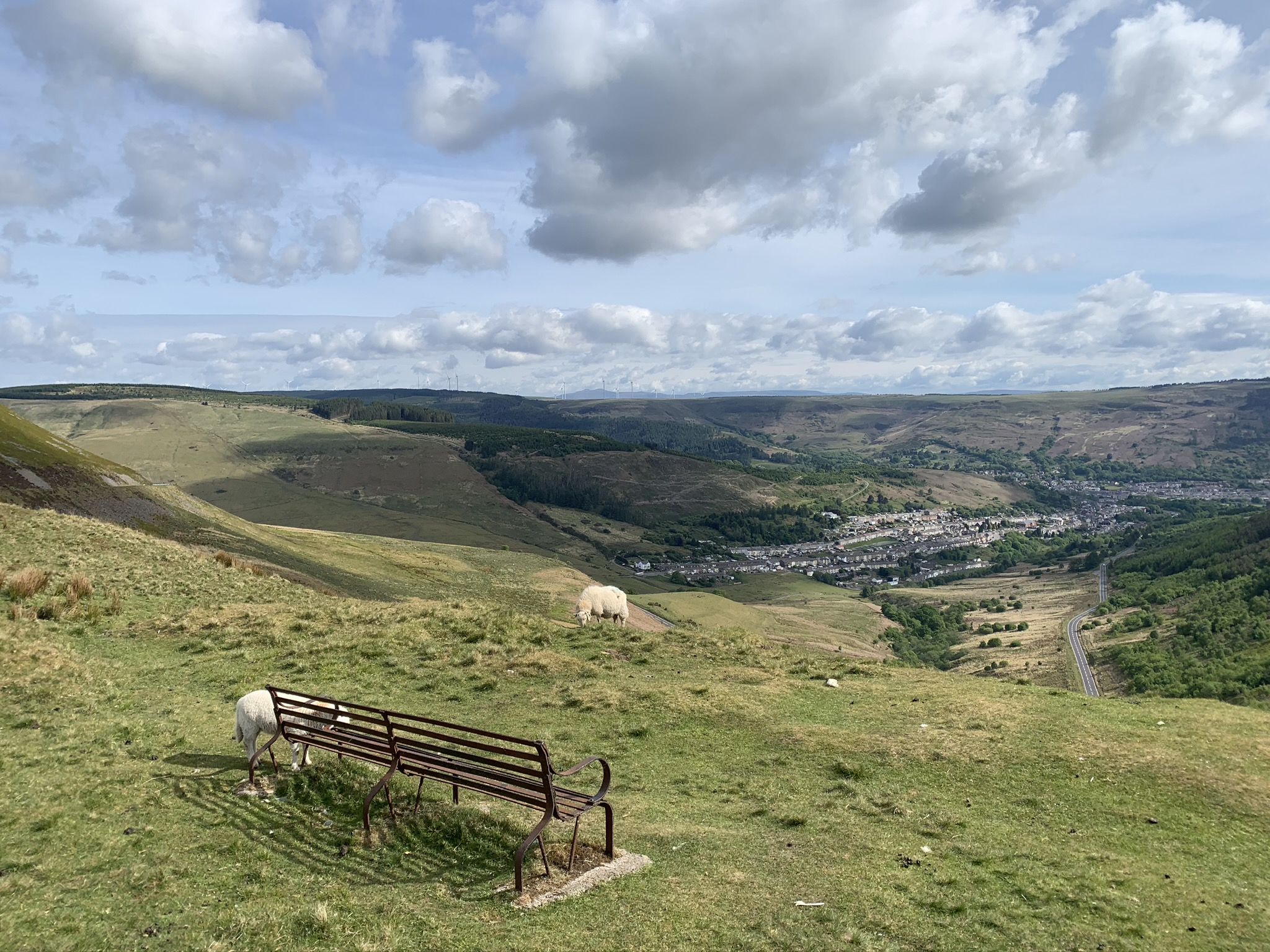 Dear Reader #50 – Hannah Howe