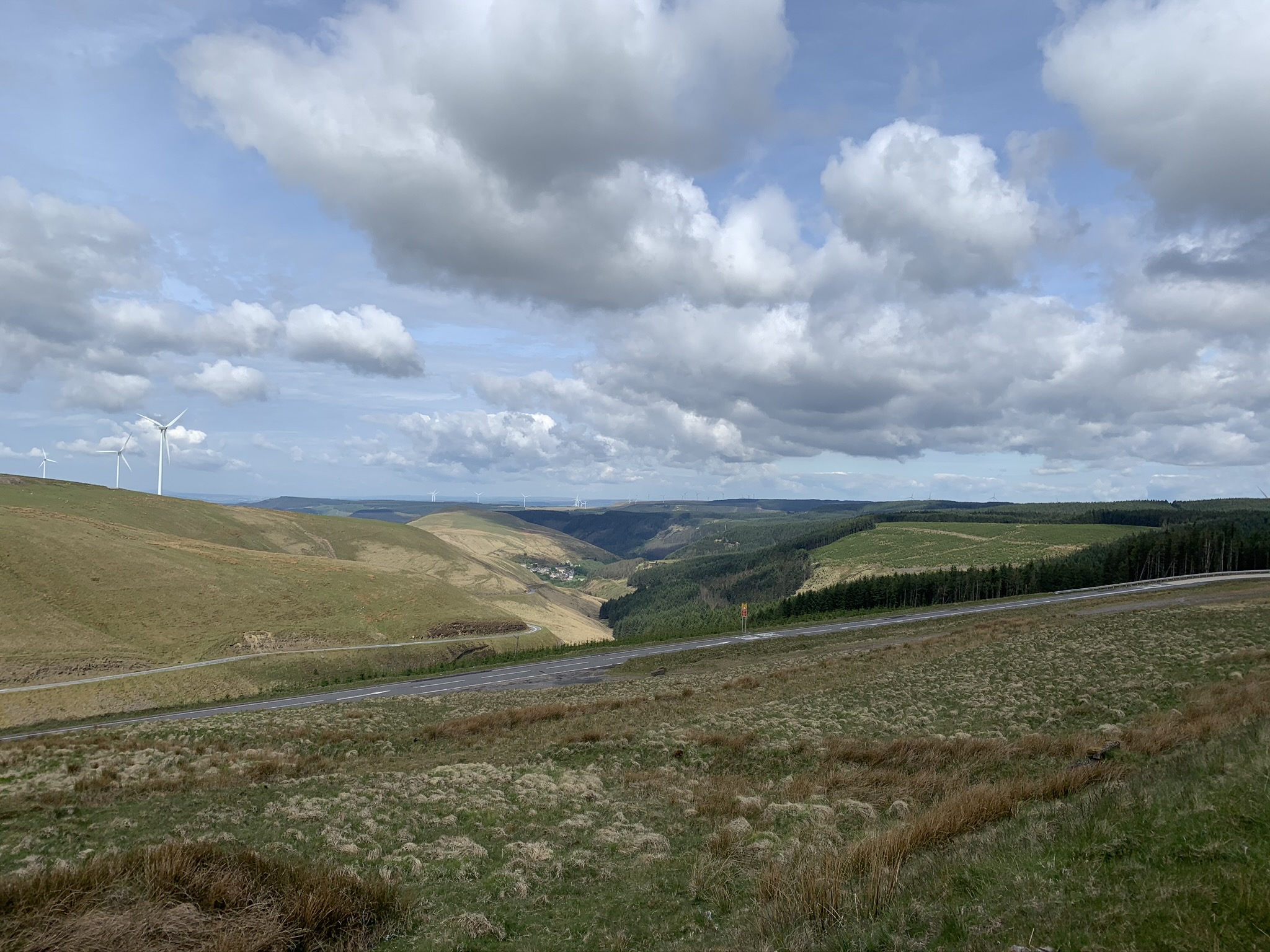 Dear Reader #50 – Hannah Howe