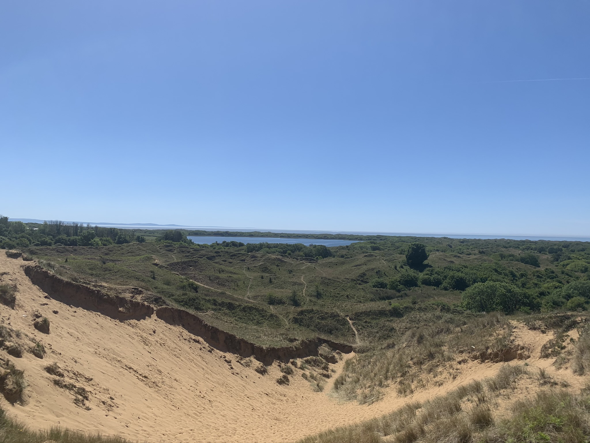 Dear Reader #50 – Hannah Howe